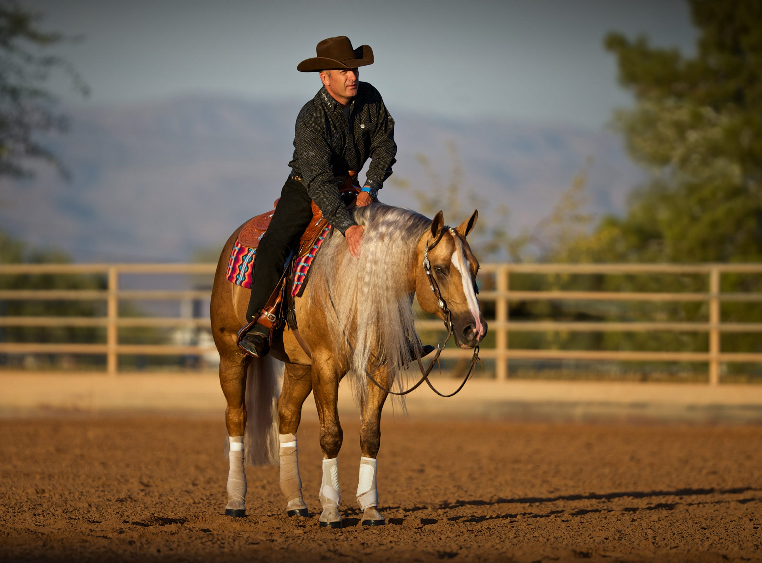 The Event & Symposium - Along For The Ride